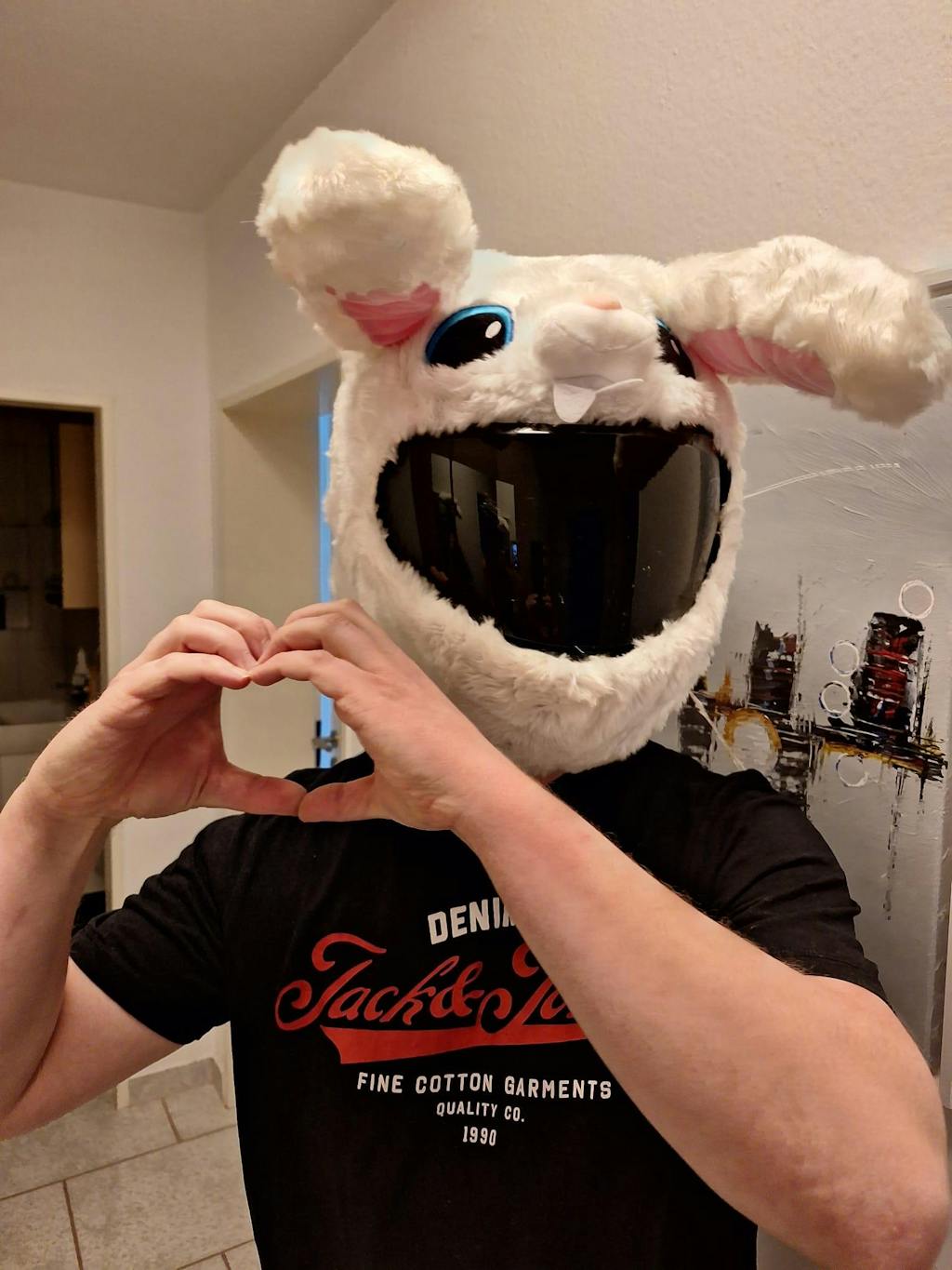 Motorcycle Helmet Cover - Bunny - Moto Loot