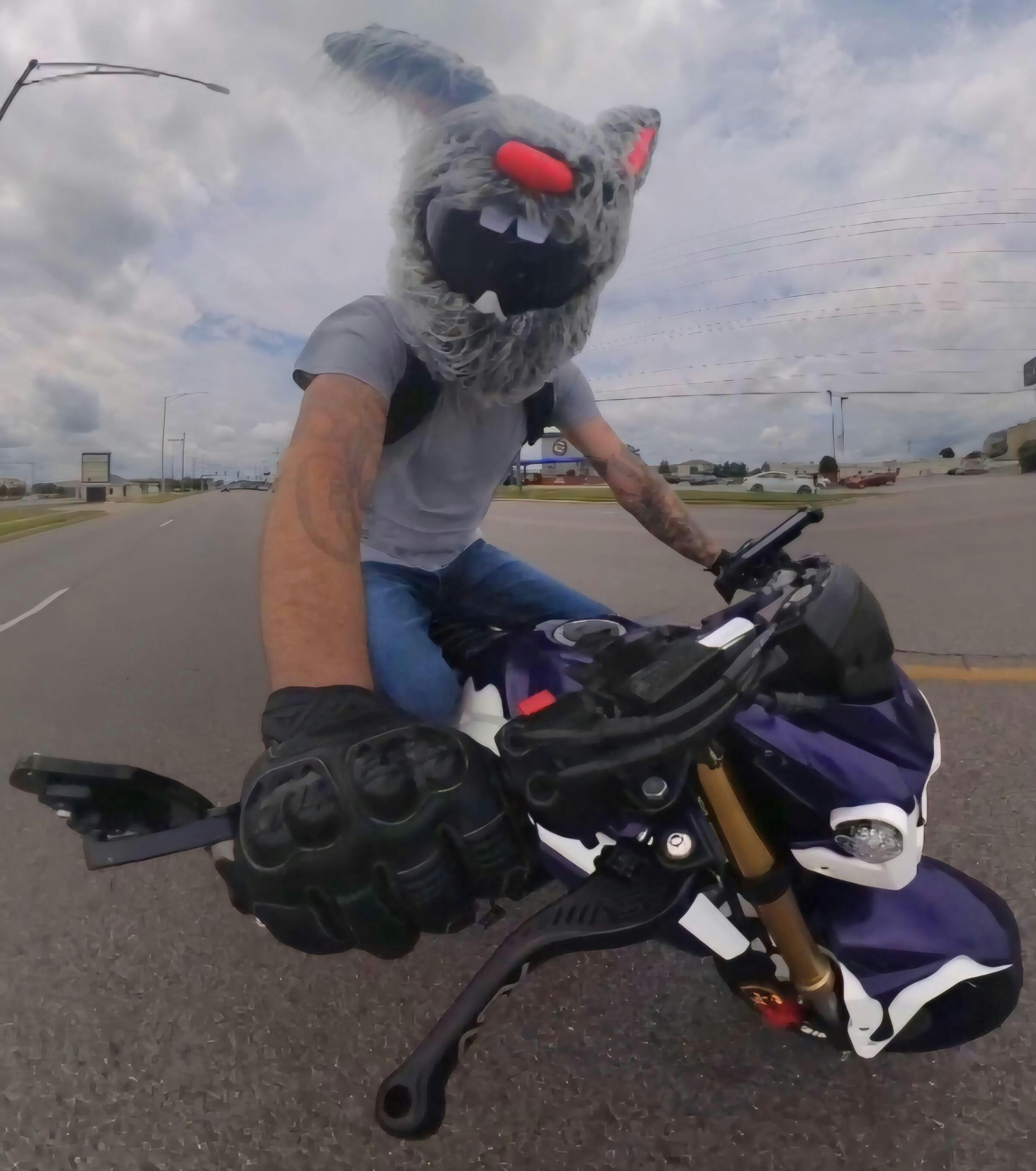 Motorcycle Helmet Cover - Evil Rabbit - Moto Loot