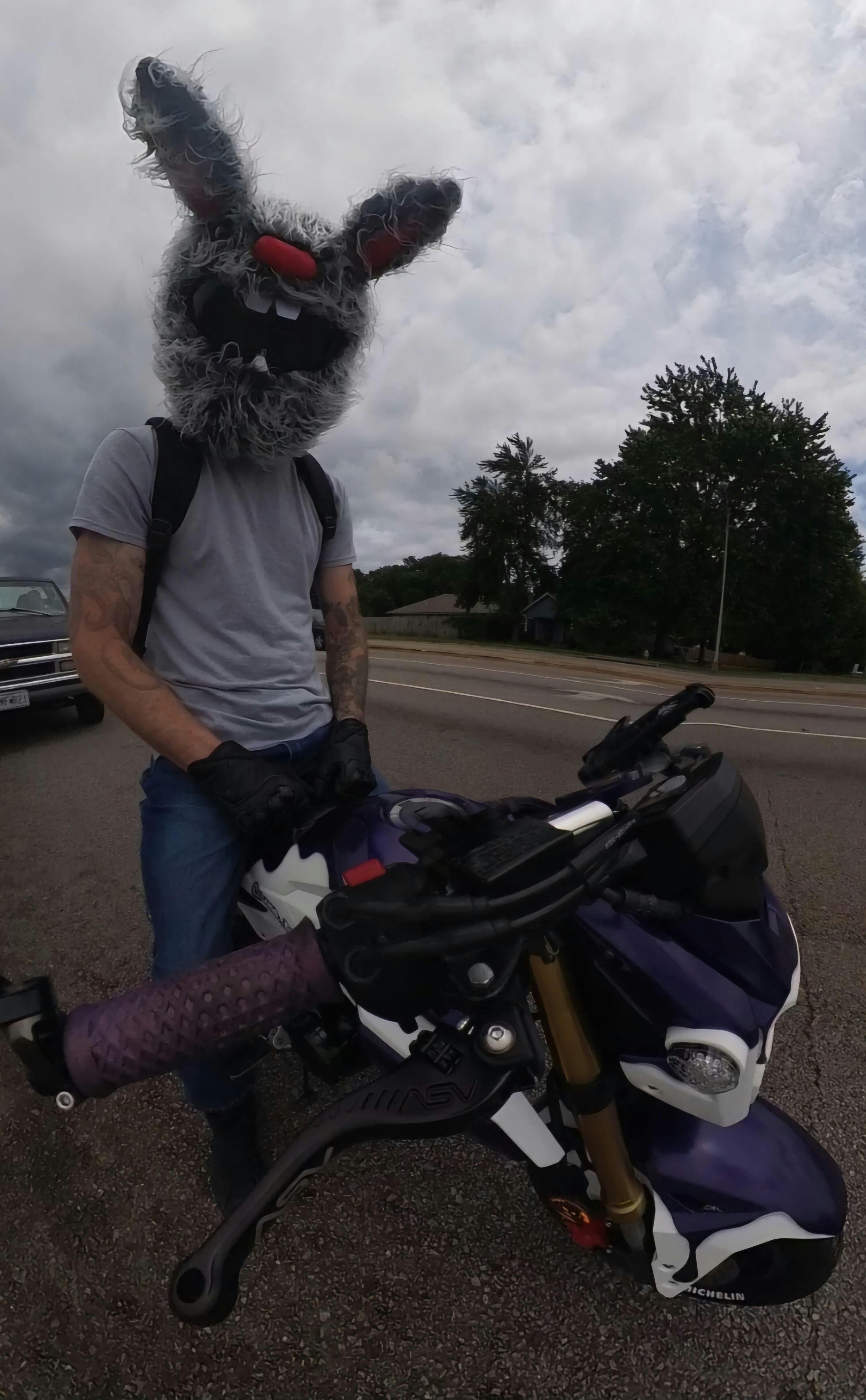 Motorcycle Helmet Cover - Evil Rabbit - Moto Loot