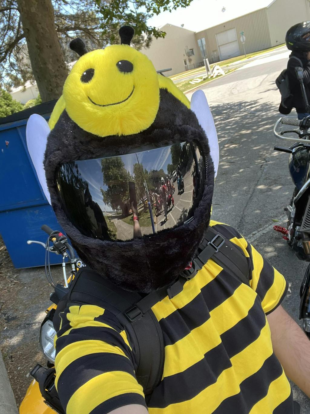 Motorcycle Helmet Cover - Bumble Bee - Moto Loot