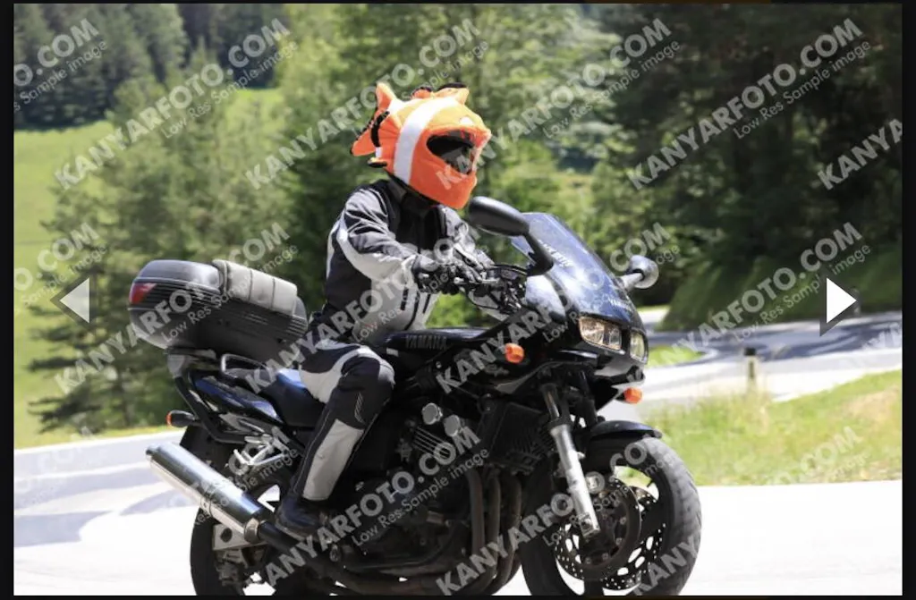 Motorcycle Helmet Cover - Clown Fish - Moto Loot