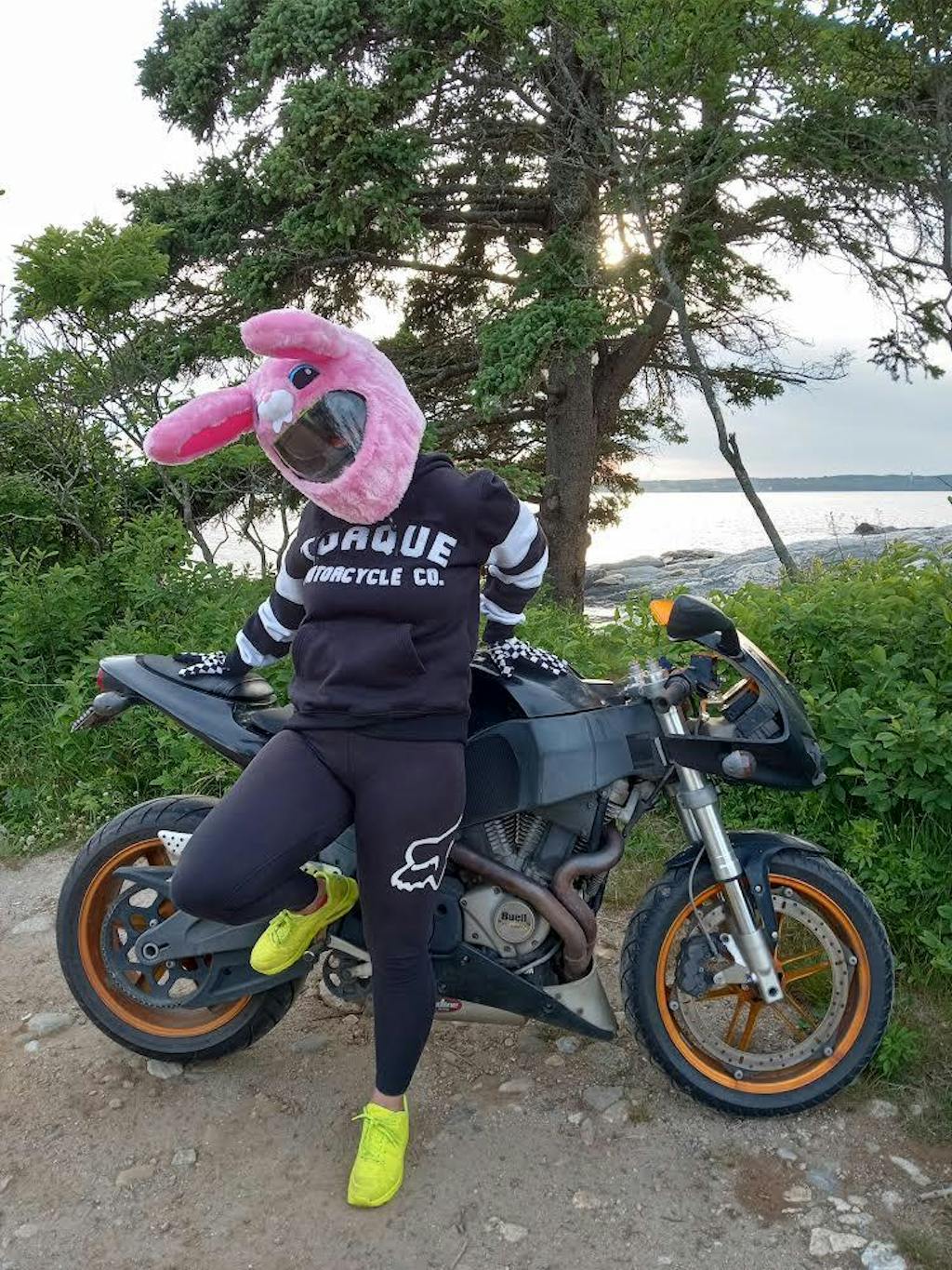 Motorcycle Helmet Cover - Pink Bunny - Moto Loot