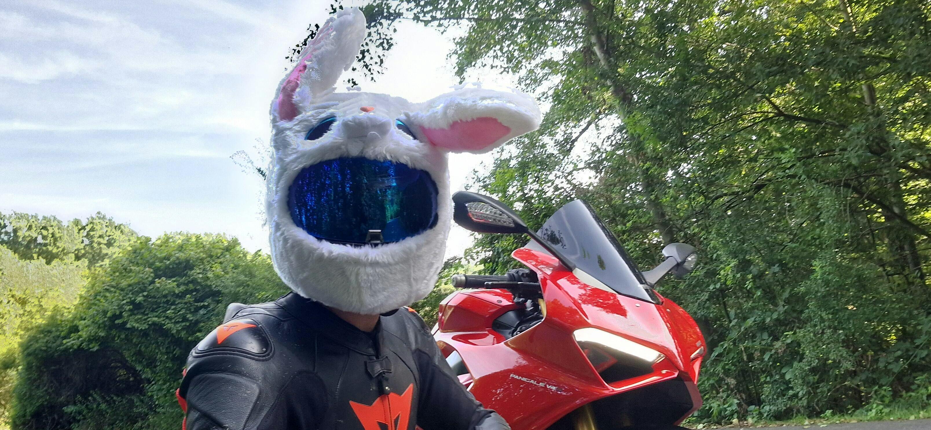 Motorcycle Helmet Cover - Bunny - Moto Loot