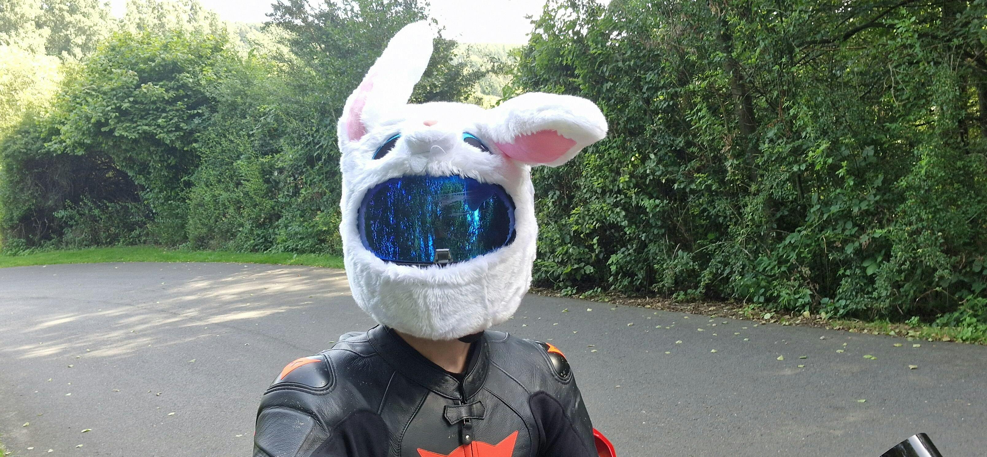 Motorcycle Helmet Cover - Bunny - Moto Loot