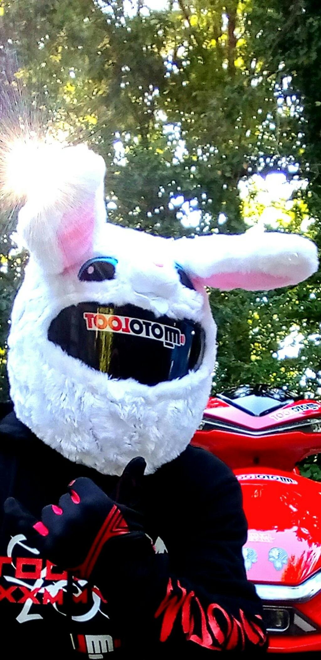 Motorcycle Helmet Cover - Bunny - Moto Loot