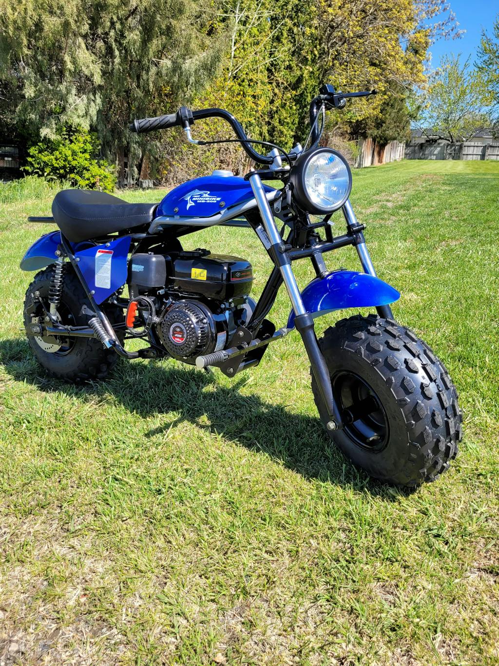 TrailMaster MB200-2 - TrailMaster Minibike | MotoBuys