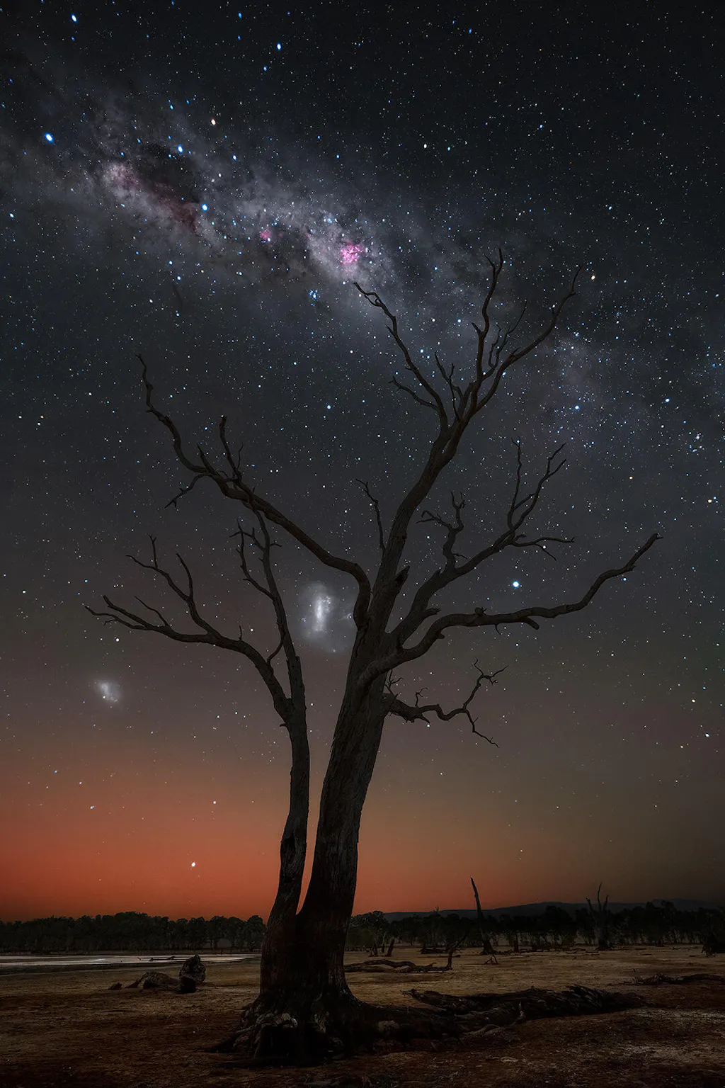 2 In 1 - Move Shoot Move Rotator for Star Tracking, Motion Time-lapse ...