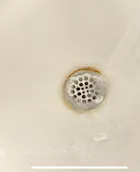 Moxy Performance