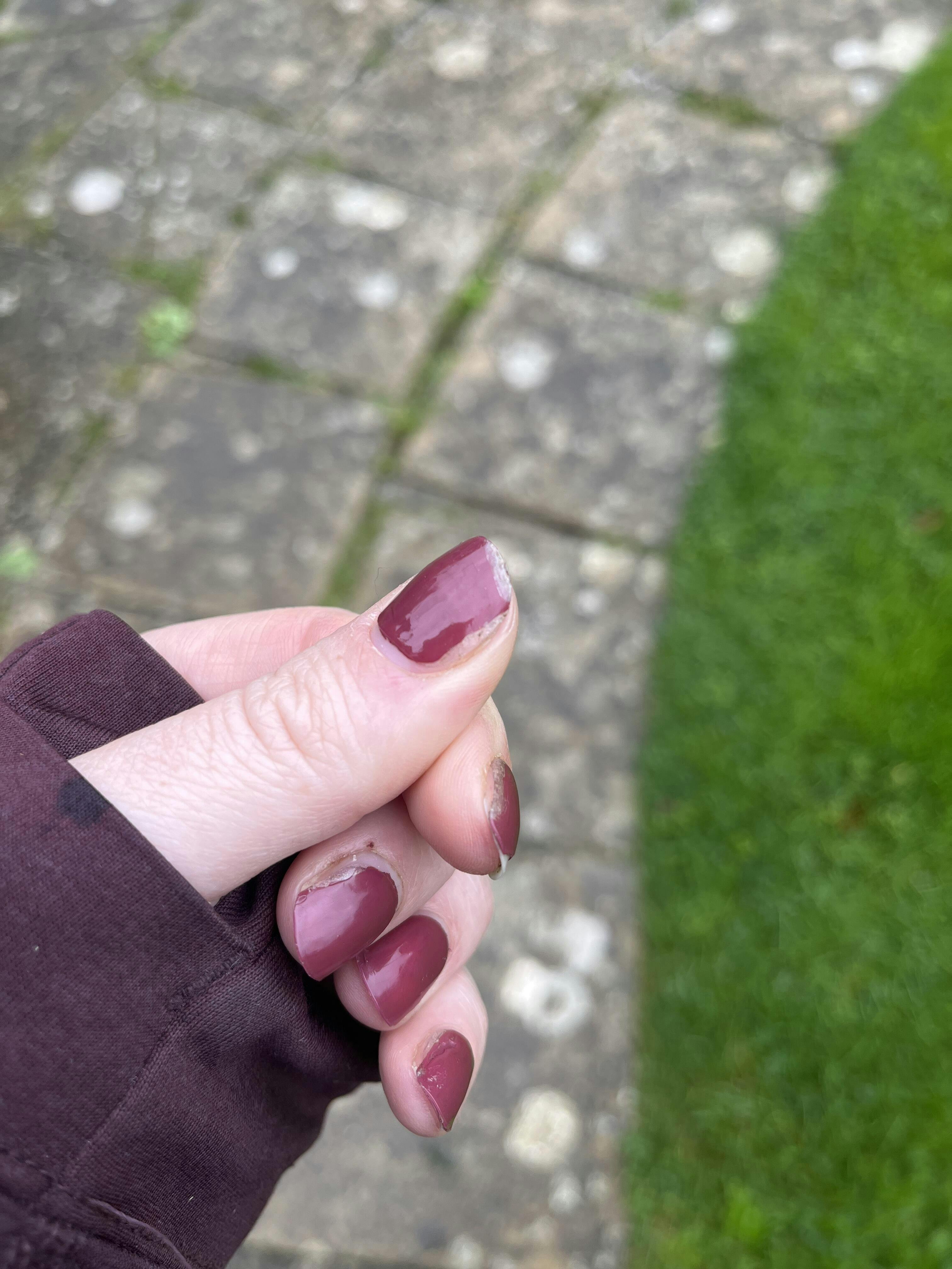 Mulled Wine • Gel Nail Strip | MoYou London