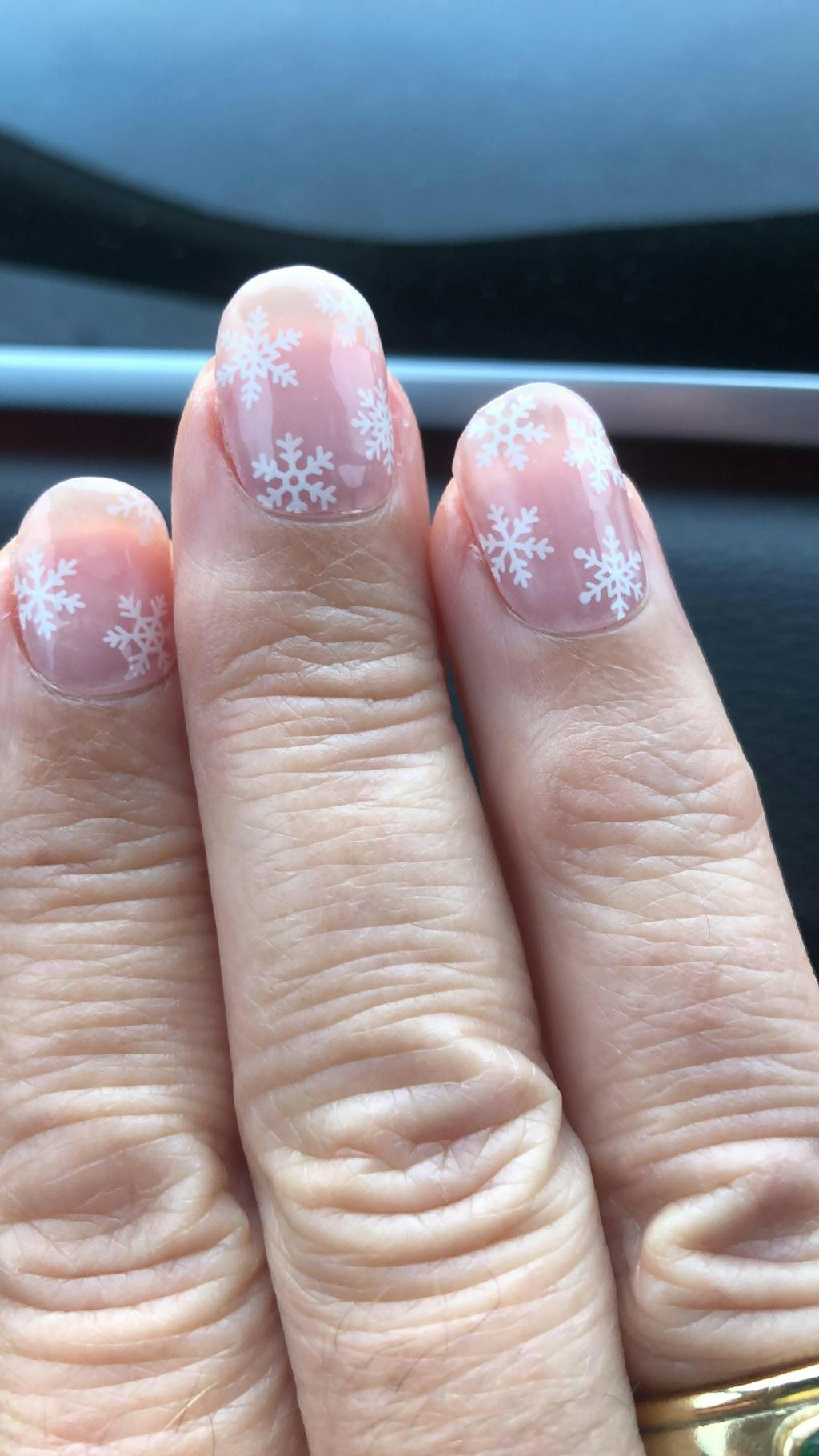 SCHOLAR COLLECTION | College Nail Stamping Plates | MoYou London