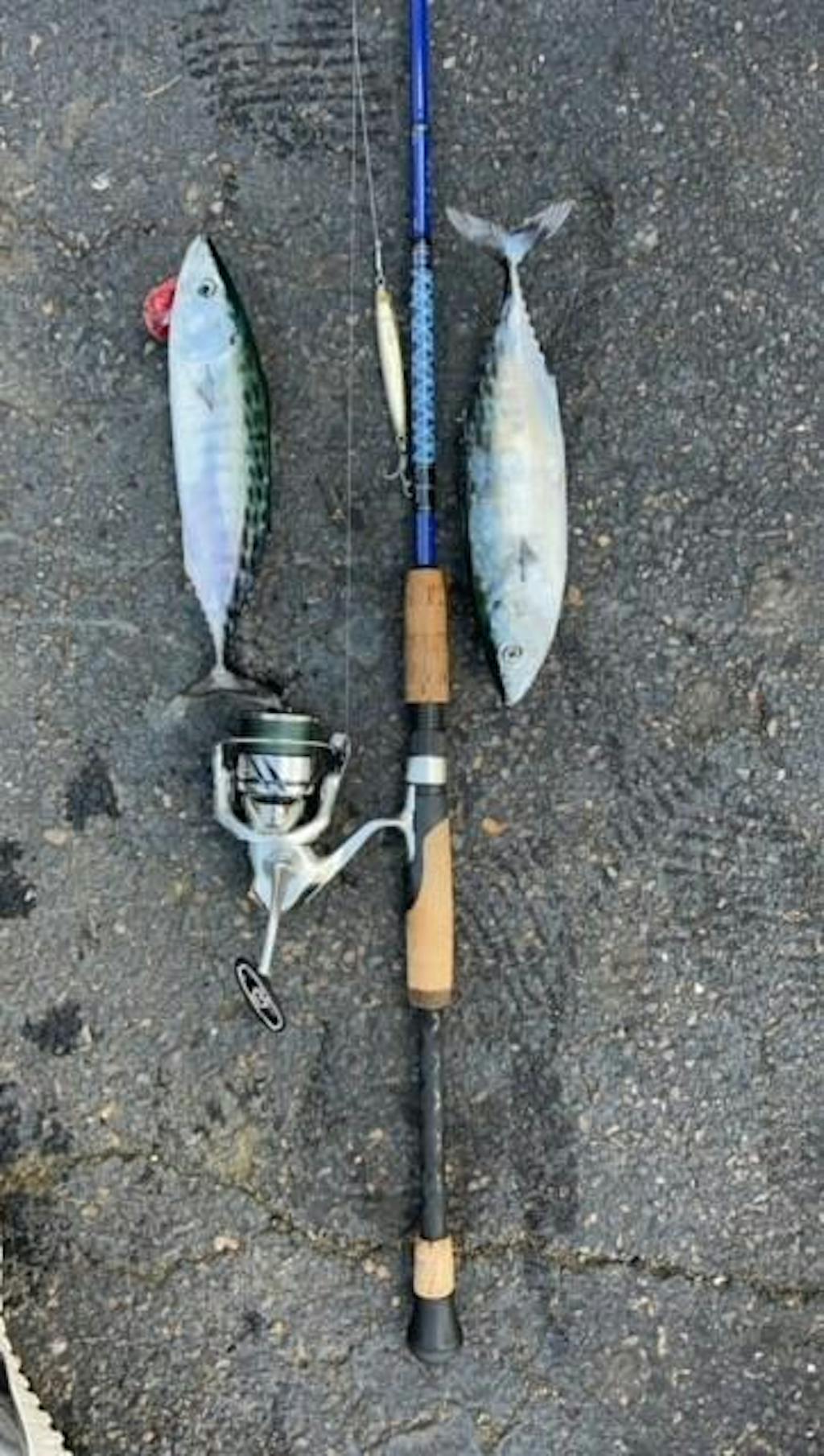 Fuji VSS Deluxe Versatile Spinning Reel Seat