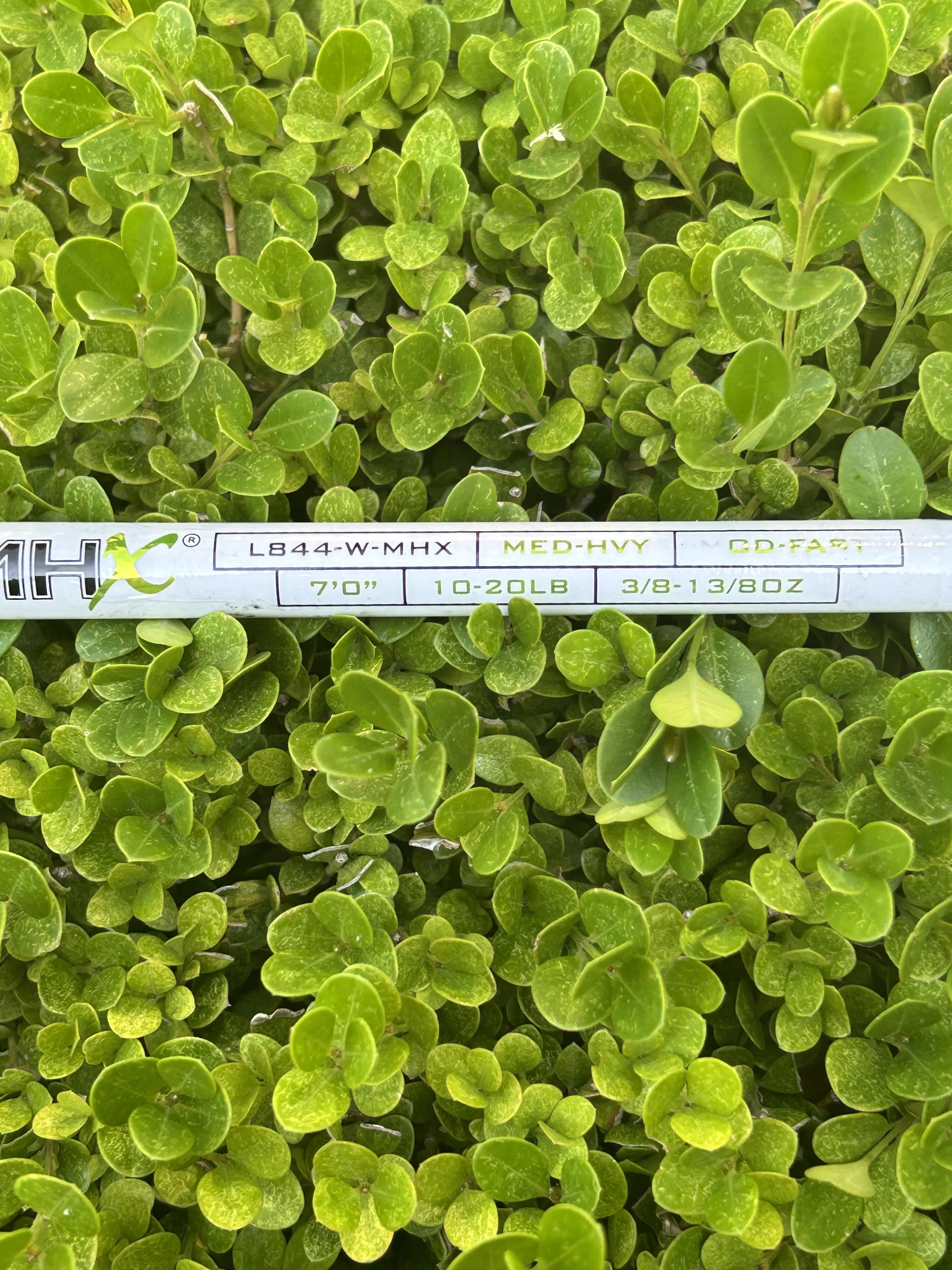 U-40 Perma Gloss