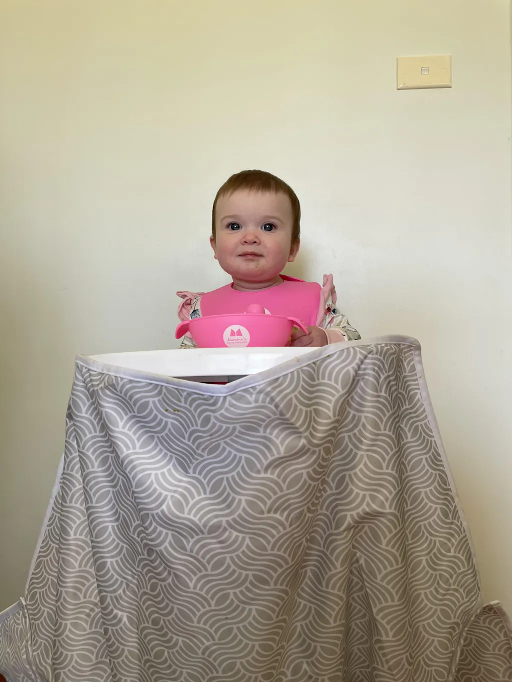 High Chair Food Catcher – Mumma’s Little Helpers