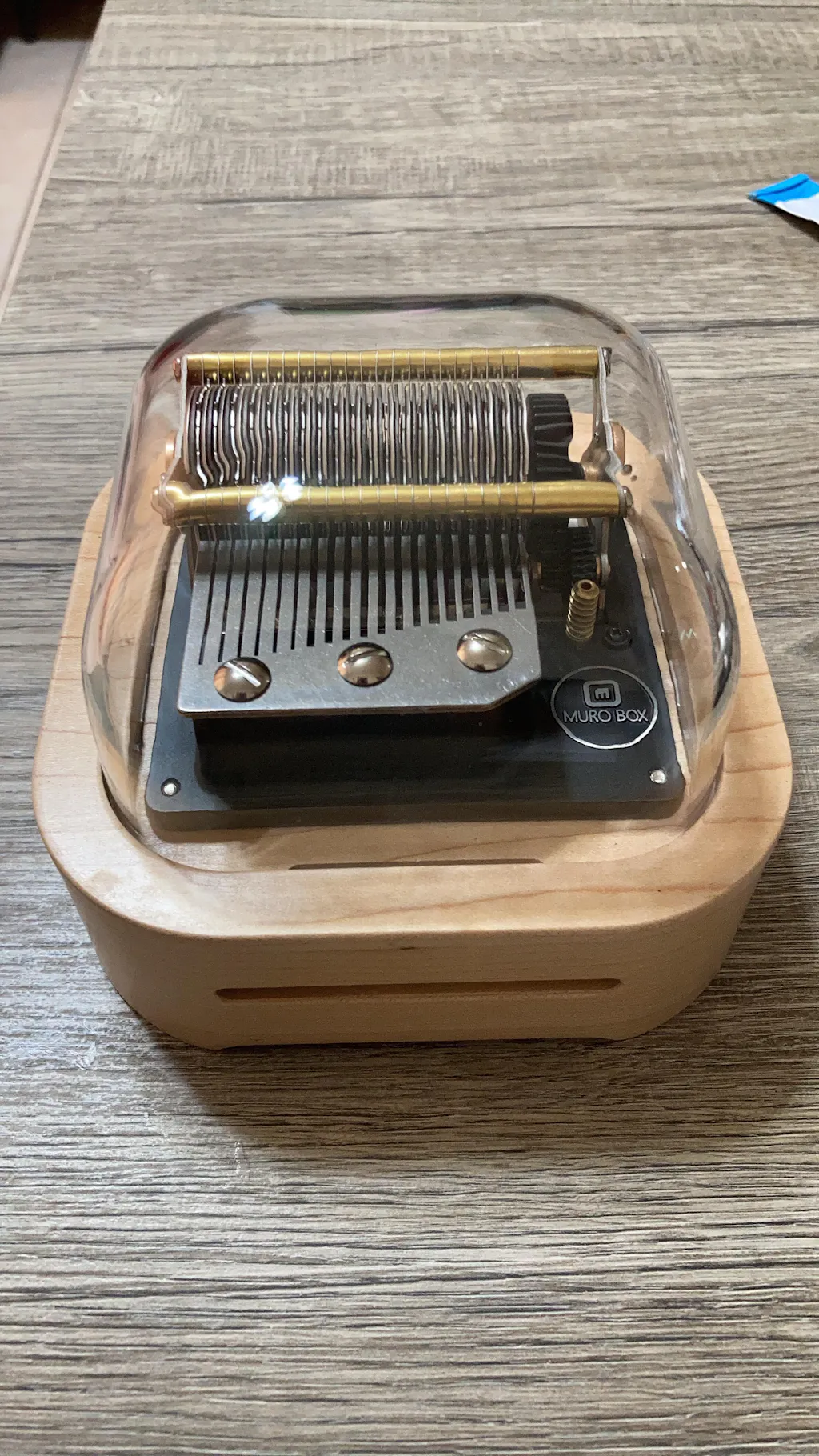 Play Unlimited Melodies on a Mechanical Music Box - Shop