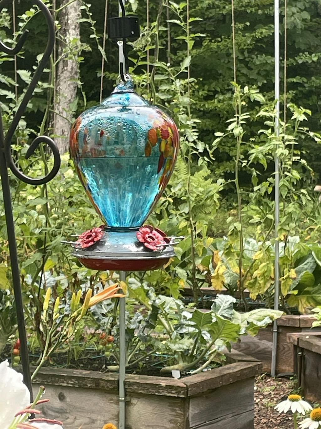 Muse Garden Hand Blown Glass Hummingbird Feeder - Comet – MuseGarden
