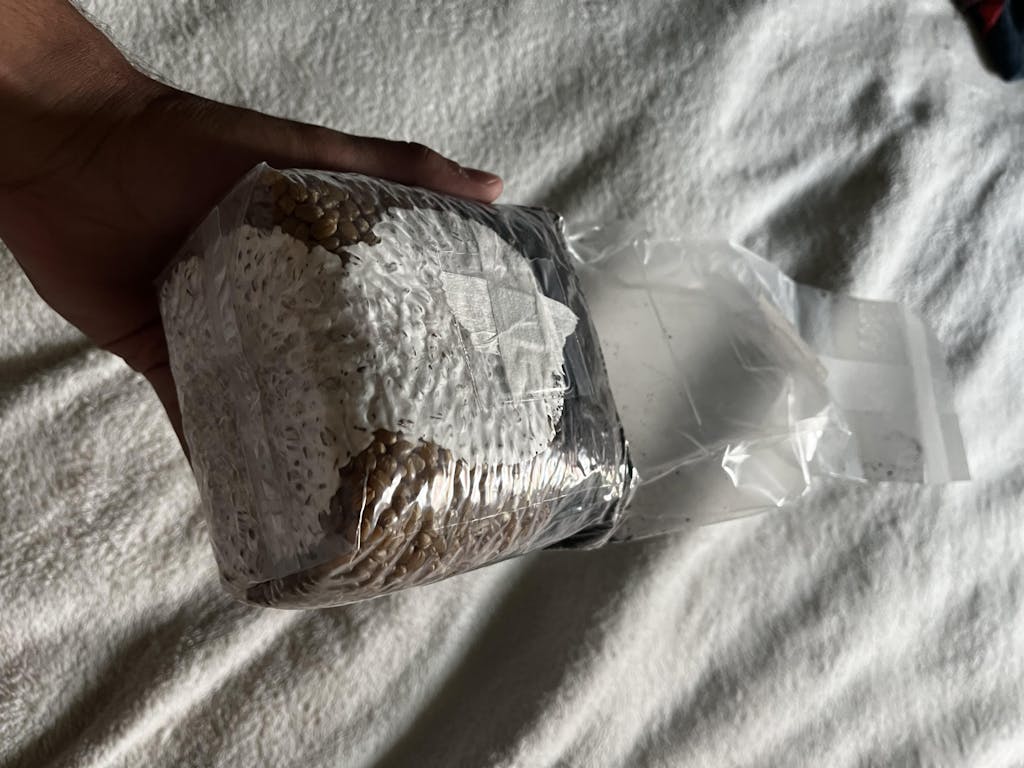 MonoTub Mushroom Grow Kit – Mushroom Spawn Store