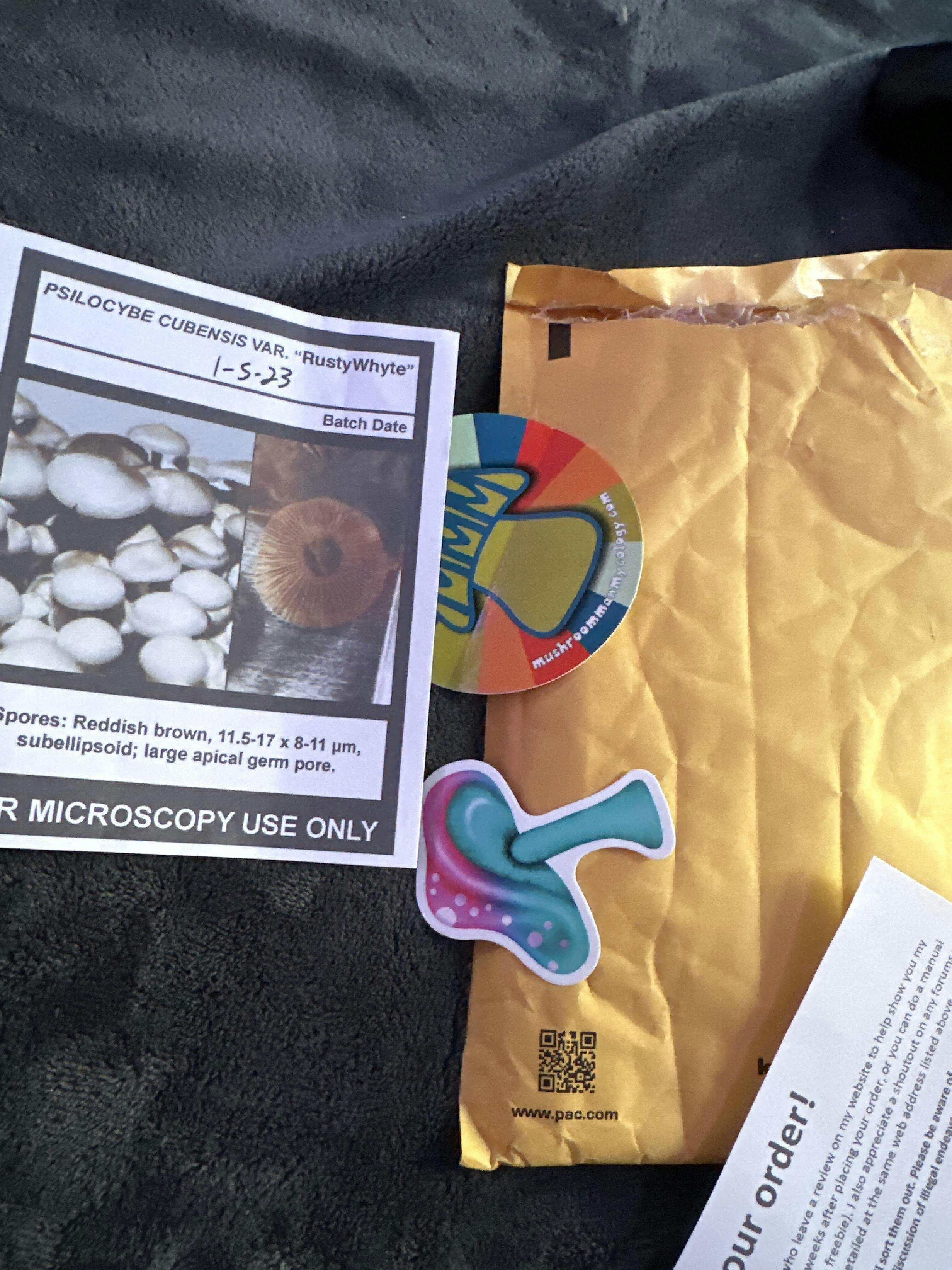 Albino Penis Envy- Revert; APE-R Spore Syringe – MushroomMan Mycology