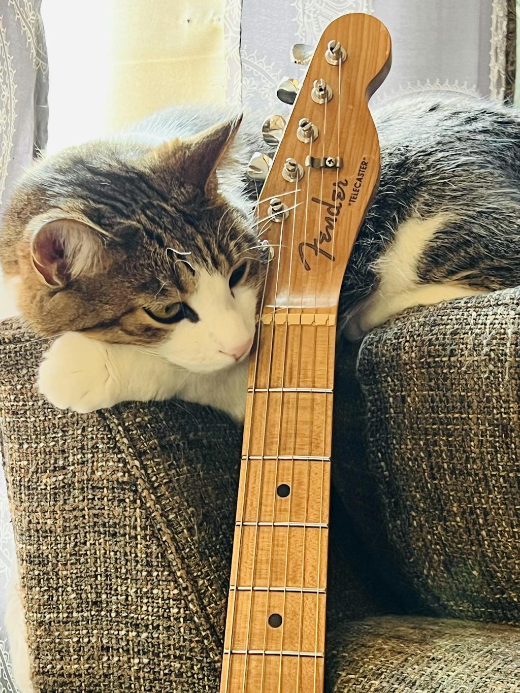 Three String Tree, String Retainer - Music City Bridge
