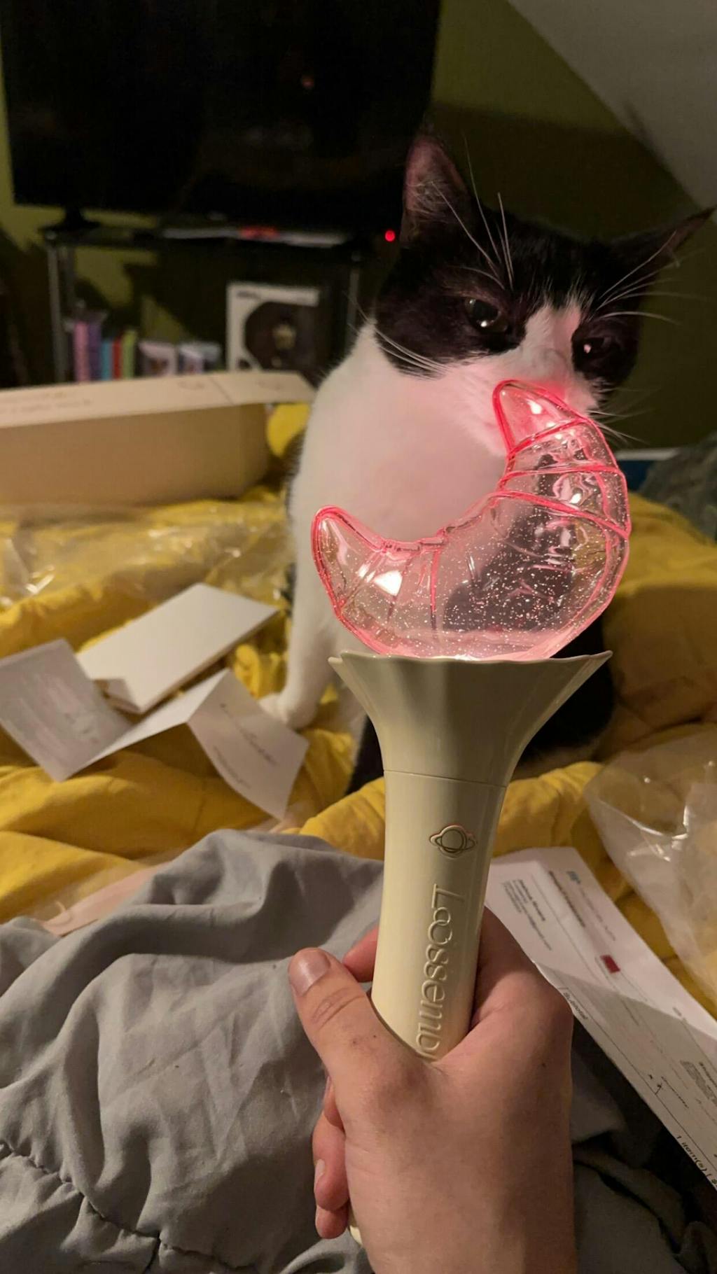 LOOSSEMBLE OFFICIAL LIGHT STICK – Music Plaza