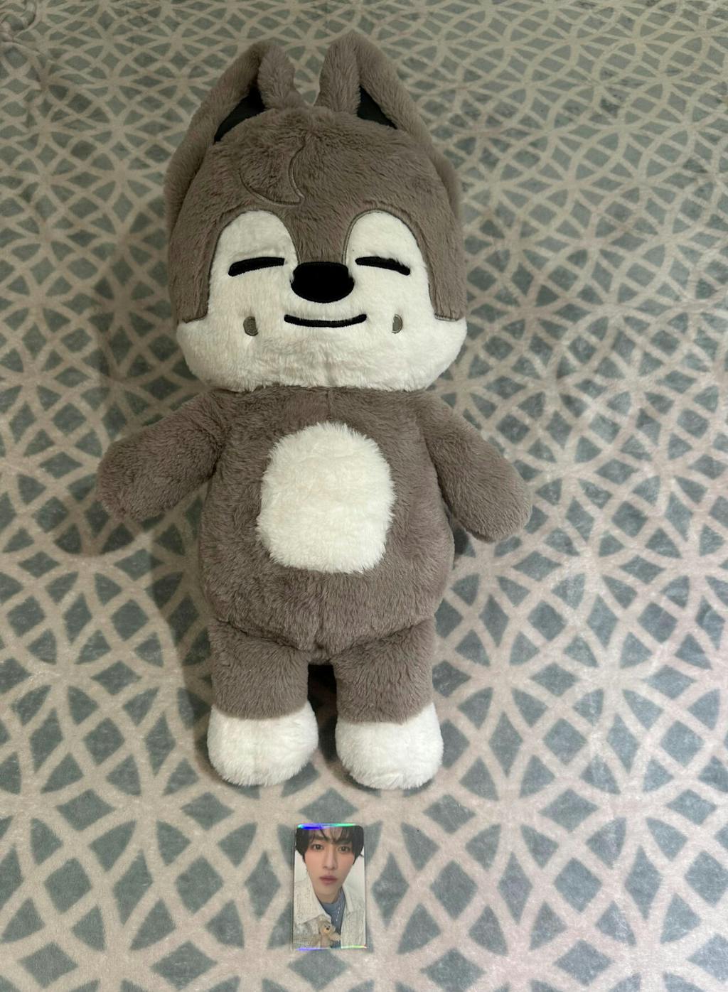 STRAY KIDS 5TH FANMEETING SKZ 5'CLOCK MD [ SKZOO PLUSH TEDDYBEAR Ver ...
