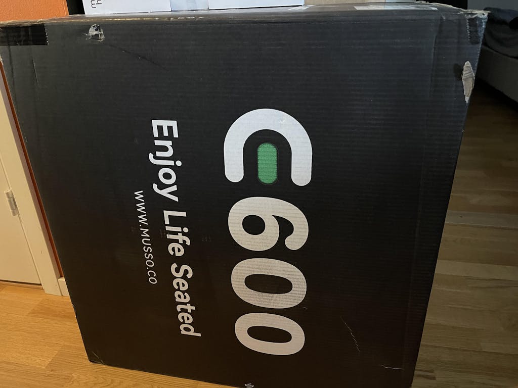 MUSSO E600 SE Ergonomic Office Chair|Women chair