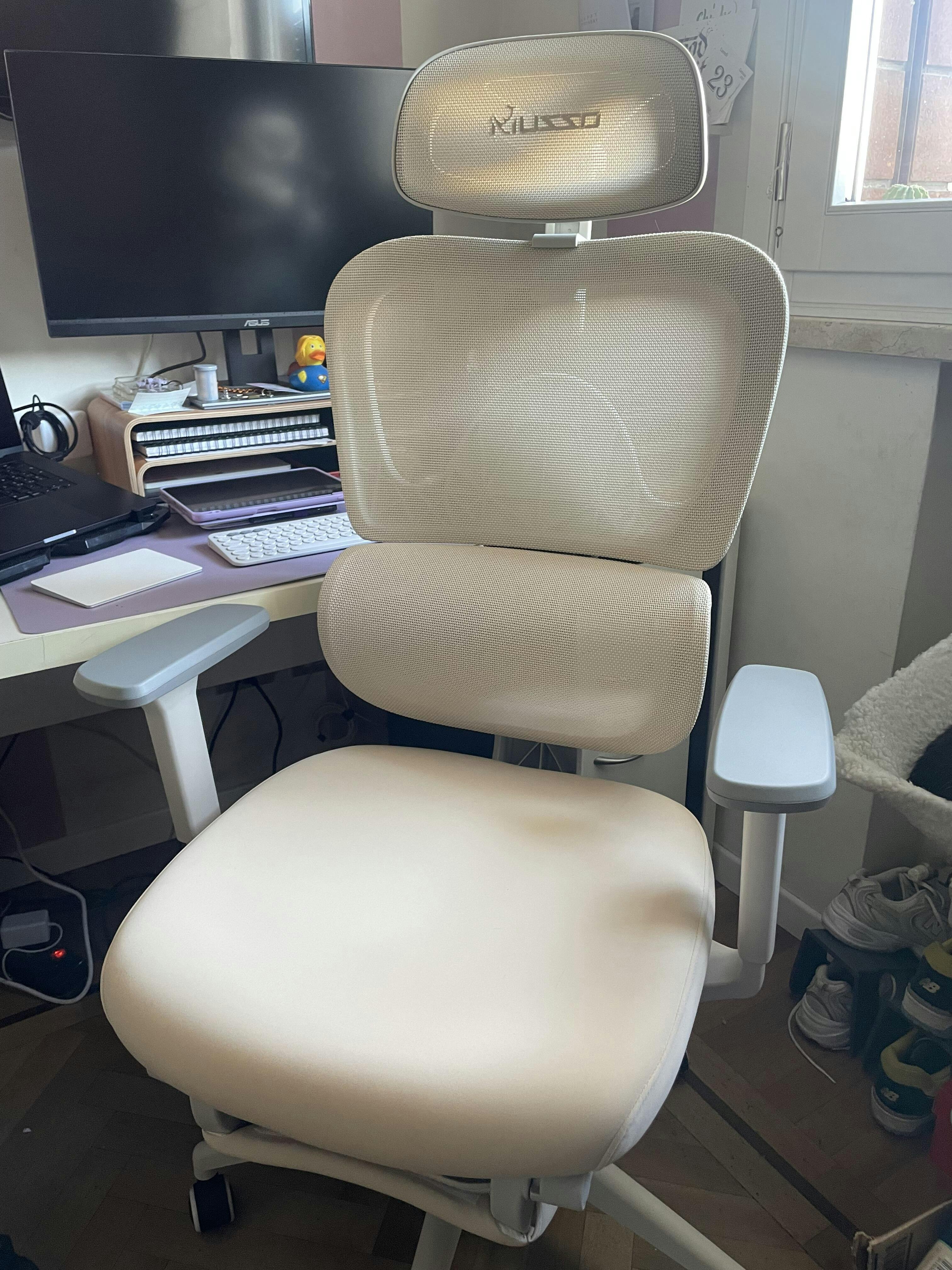 MUSSO E600 SE Ergonomic Office Chair|Women chair