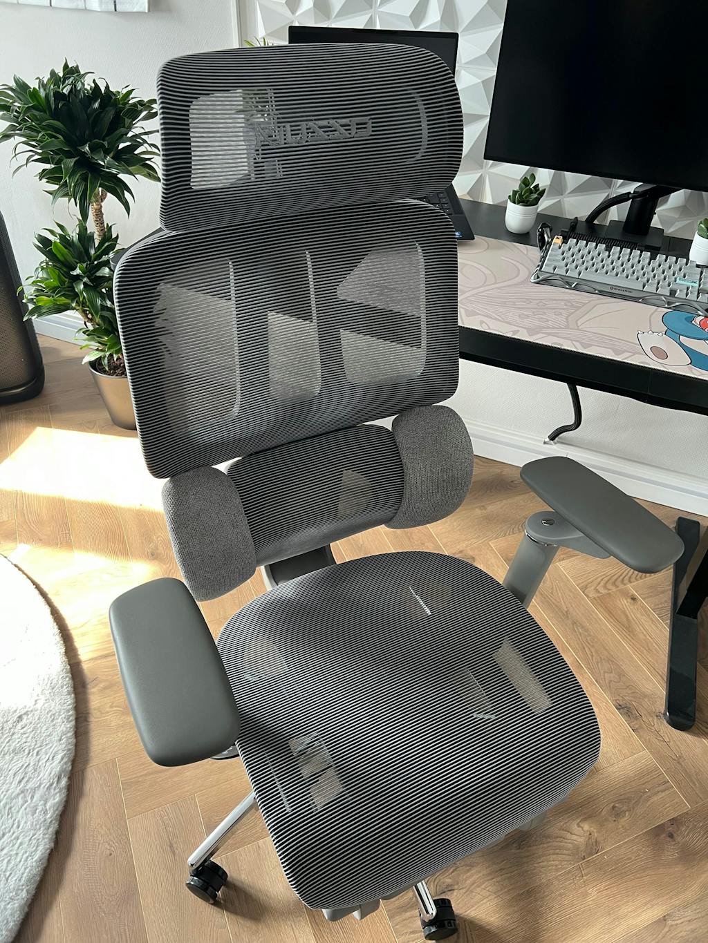 MUSSO H80 Pro Ergonomic Office Chair|Computer Chair
