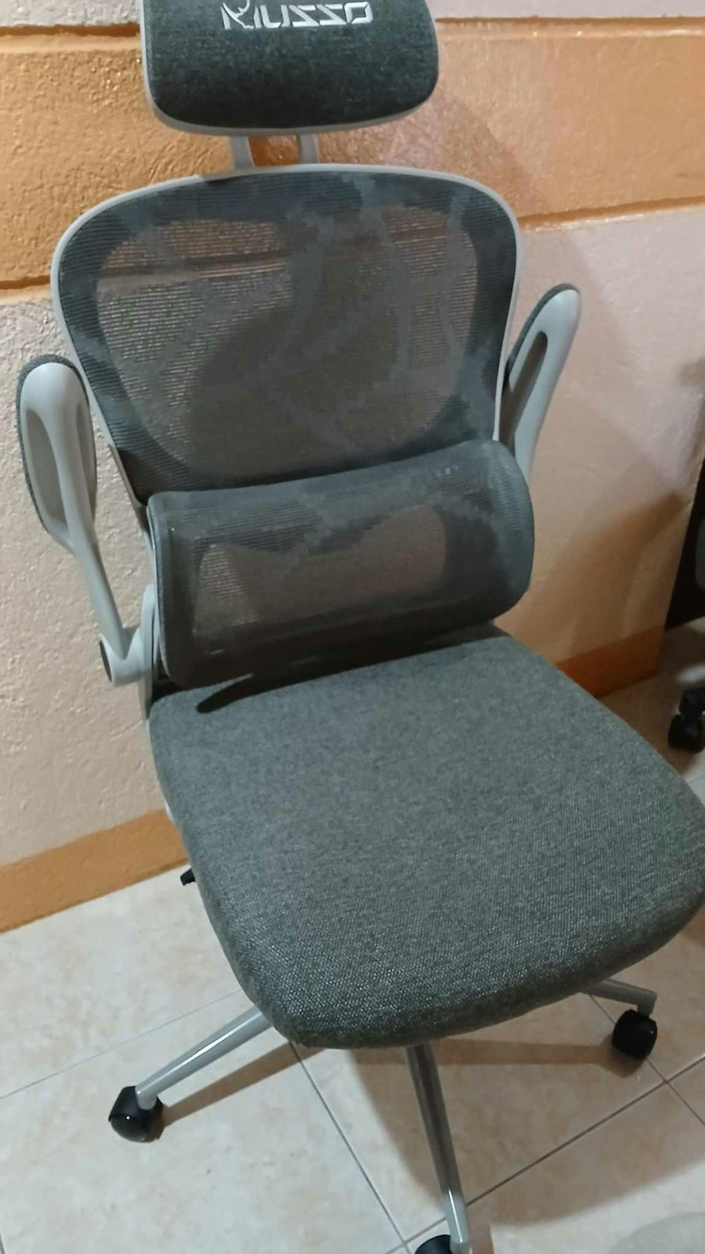 MUSSO C10 Ergonomic Chair 2D Headrest and Flip Armrest Ergonomic Offic ...