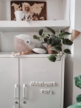 Alphabet Magnets in Bone by Wordbits