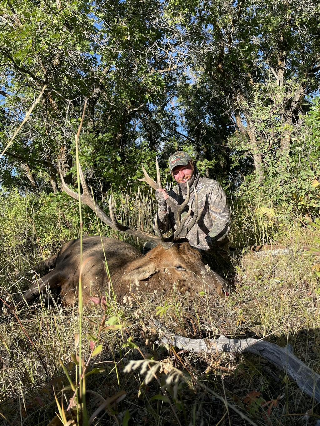 CVA® Optima™ V2 PR2040S | .50 Cal Muzzleloader | Muzzle-Loaders.com