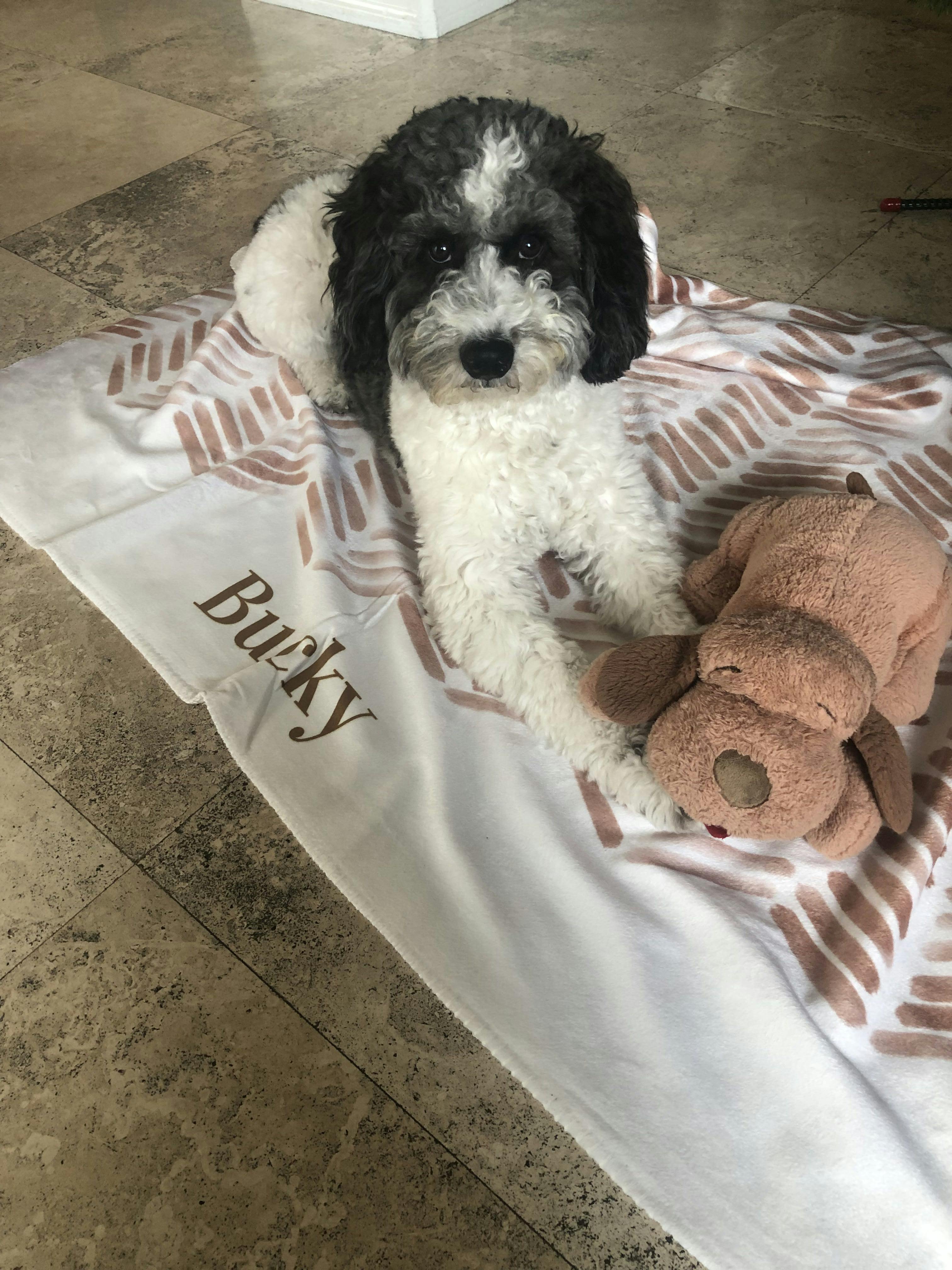 Design a Blanket From Scratch | My BlanketShop