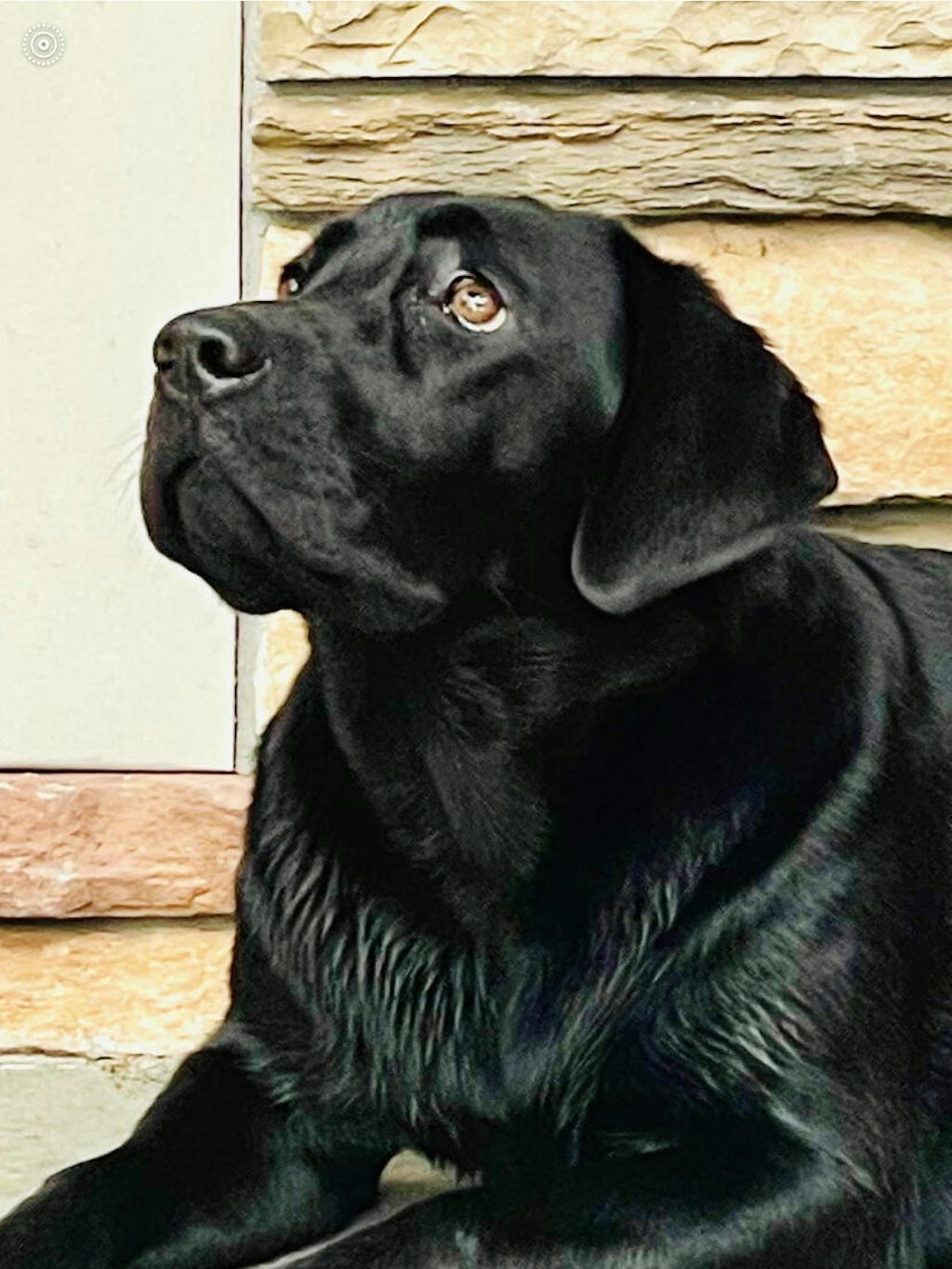 Purium - The Transformation Company