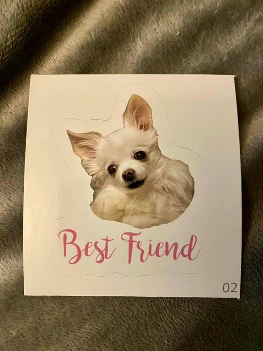 Custom Sticker Purrfect My Pet Selfies custom-sticker-purrfect-my-pet-selfies
