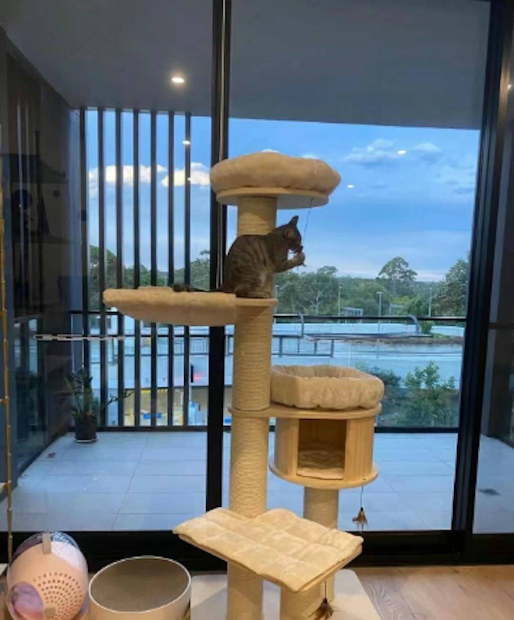 180cm Solid Pine Cat Tree with Hammock – My Rainbow Pets – My Rainbow ...