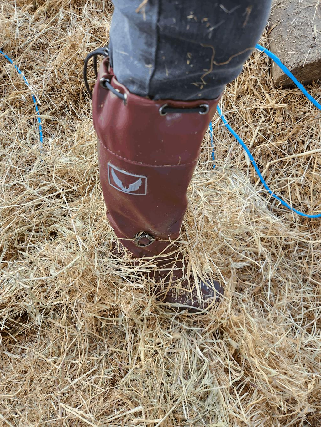 B.E.I.G.E. Classic Socks – My Tribe Boots