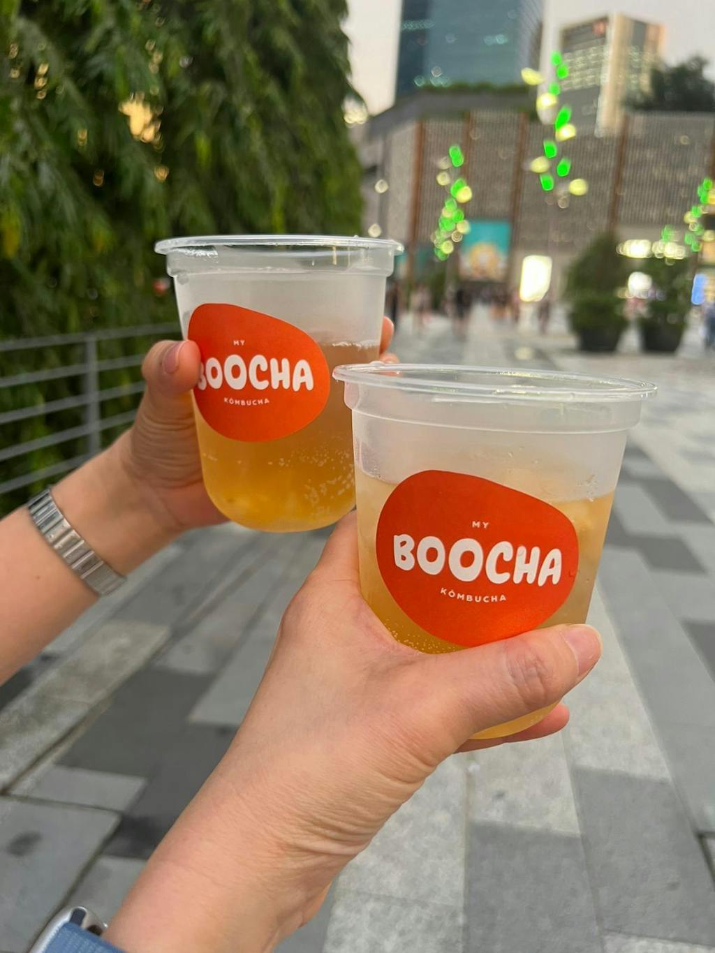 BoochaBoosters Plans (Save up to 18%) – MyBoocha Kombucha