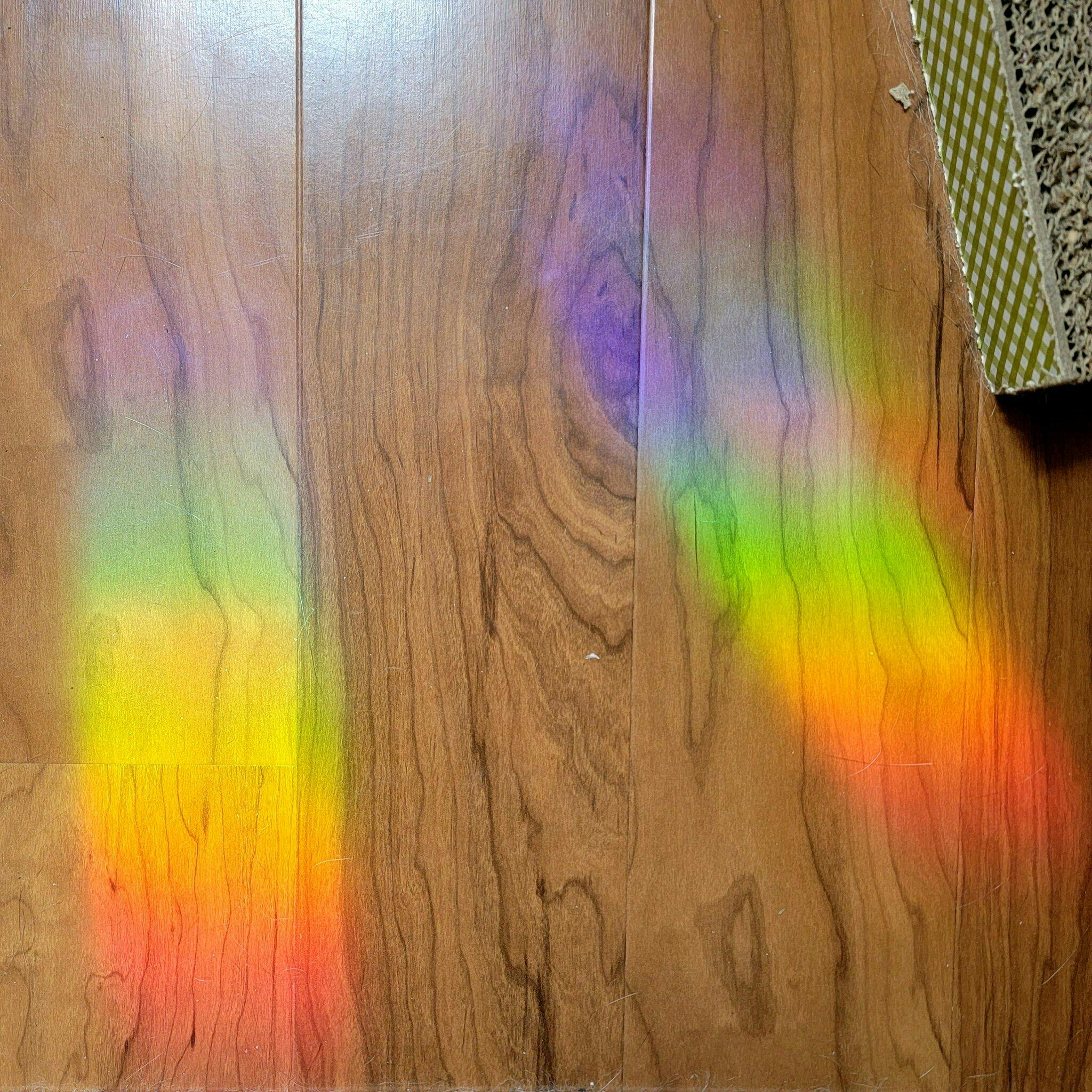 Good Mythical Morning Suncatcher | Mythical Store