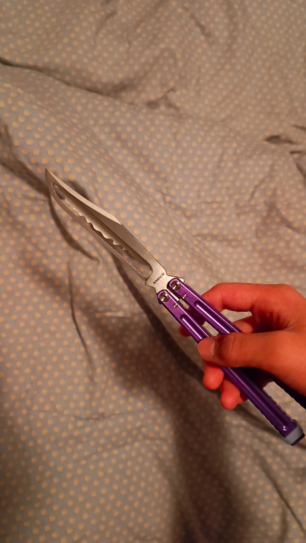 Reverie - Create with Nabalis 2024