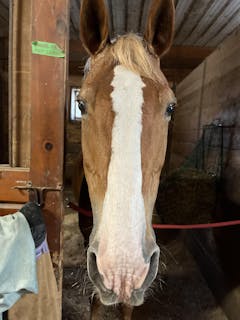 Large Square Bale Bag – NAG Bags