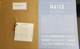 Mateo | Name Art Print