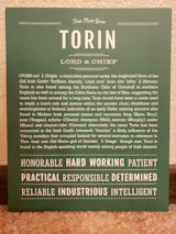 Torin | Name Art Print