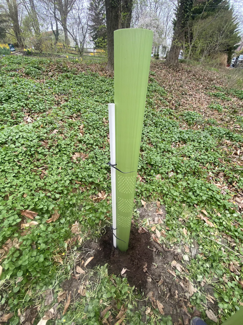 Tree Protector Package for Sale – Nativ Nurseries