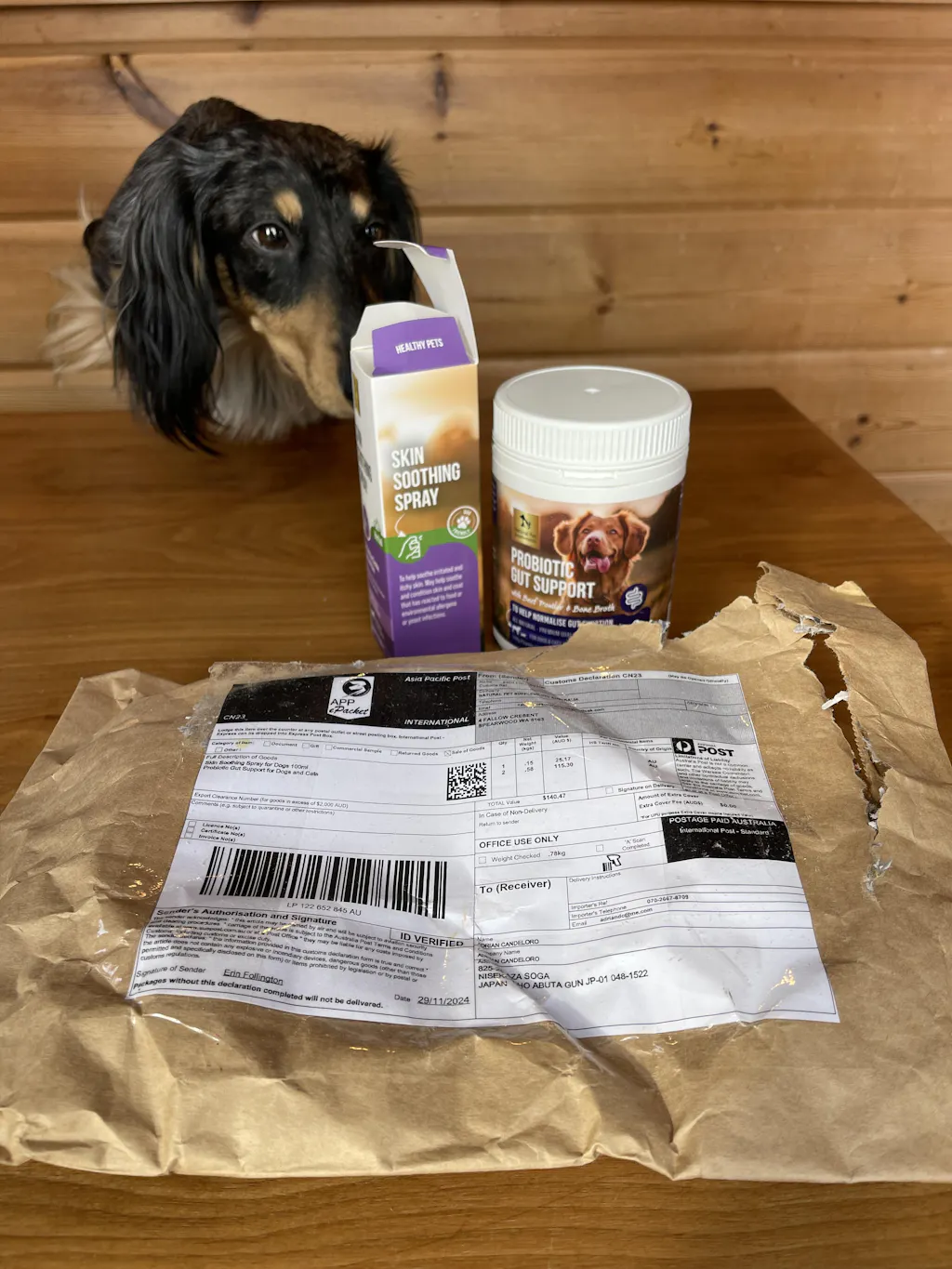 Immune Support Herbal for Dogs and Cats 100ml | Natural Pet Supplements ...