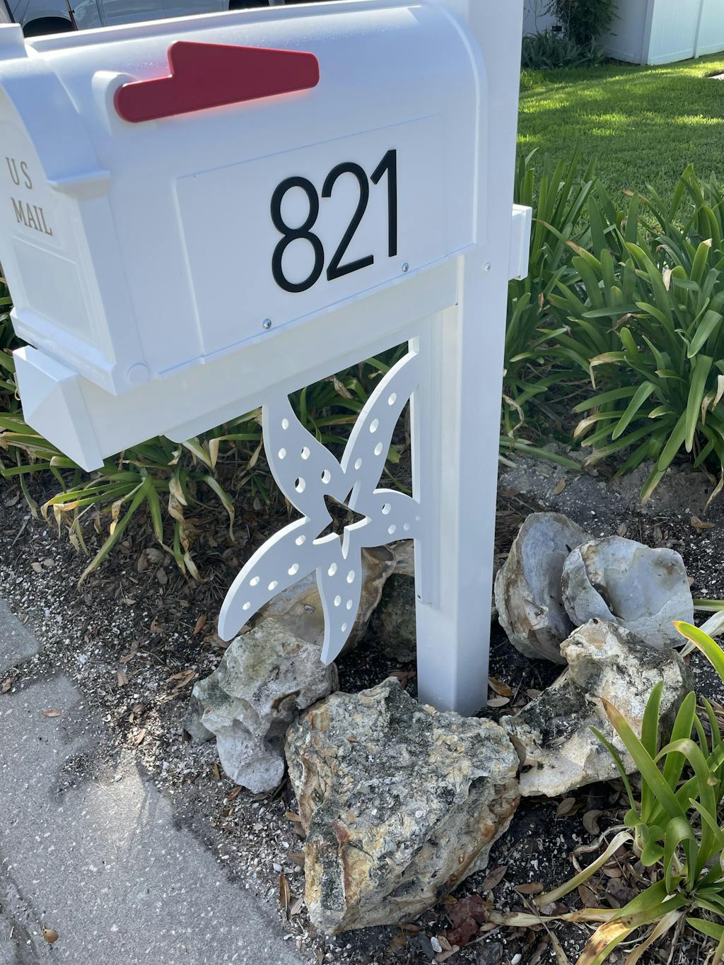 Starfish Decorative Bracket – Nature Brackets