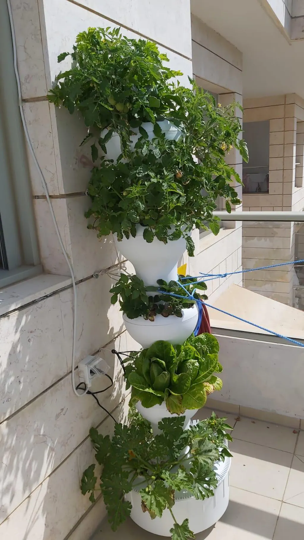 Airponic Fruit - Hydroponic Tower Garden System – NatureTech USA