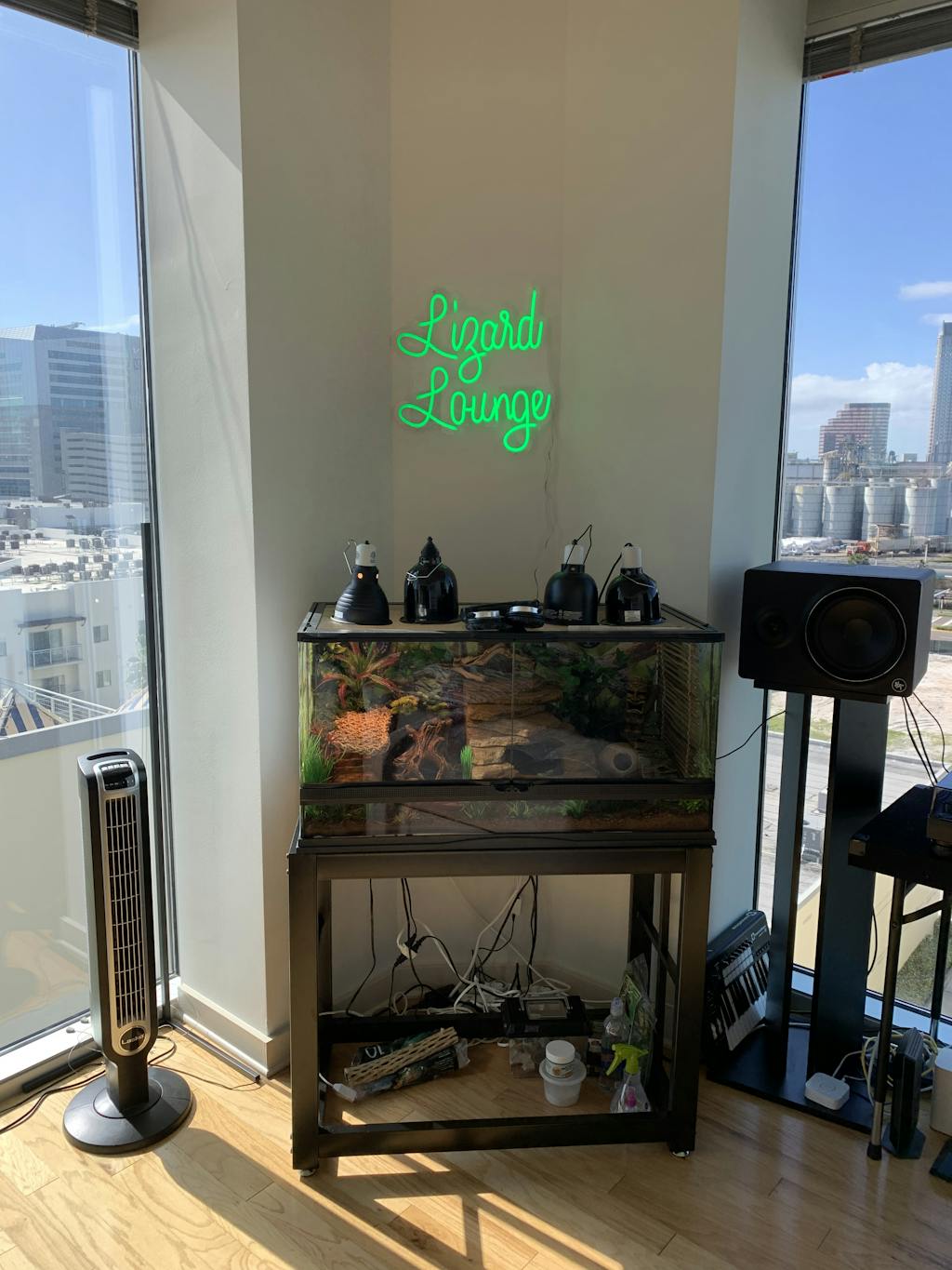 Custom LED Neon Signs Lights For Room Online | Neon Signs & Lights