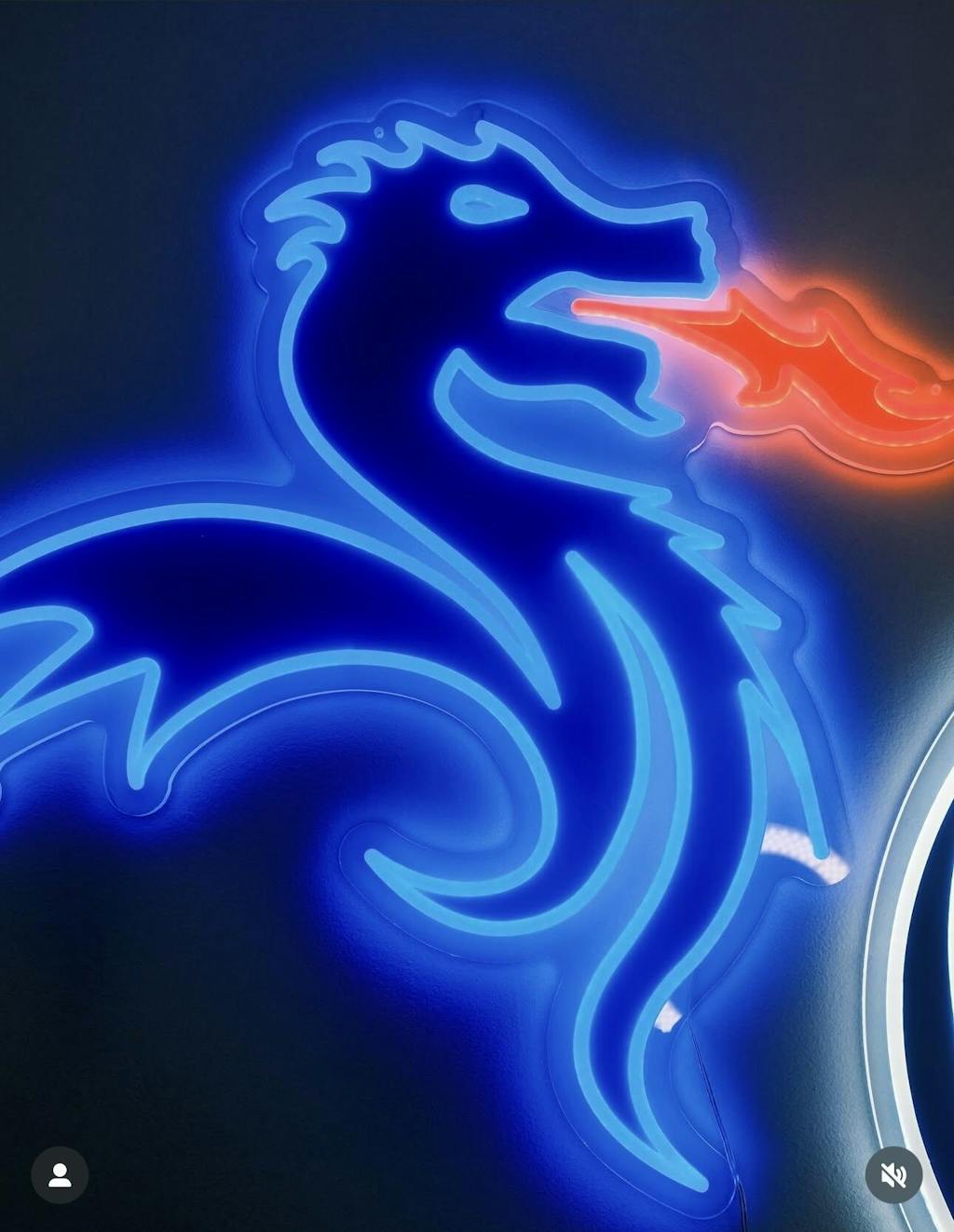 Custom LED Neon Signs| Vibrant neon lighting by Neonific – Neonific.com