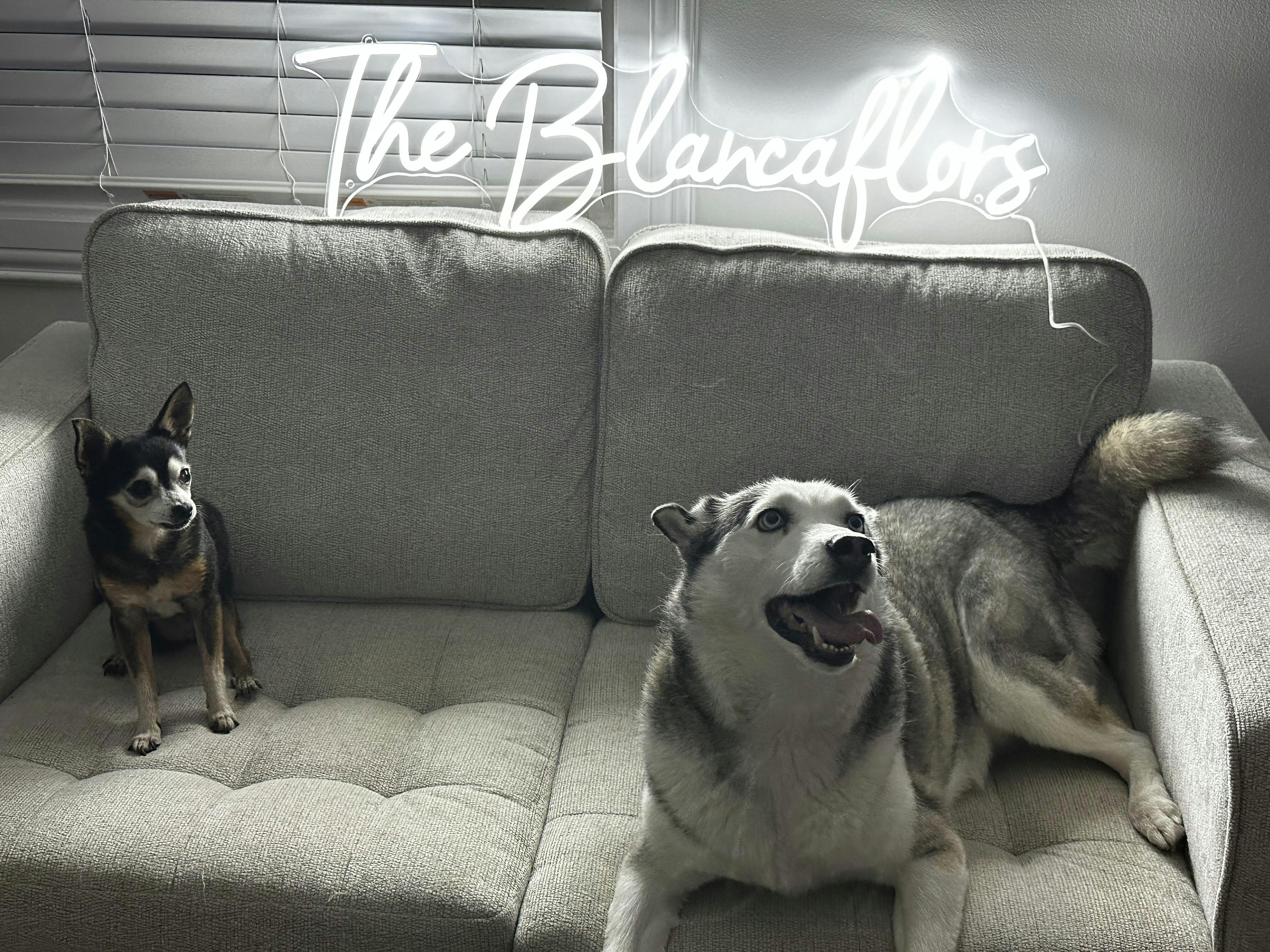 Custom Wedding Neon Sign Family Name Light Sign – NeonSignKingdom