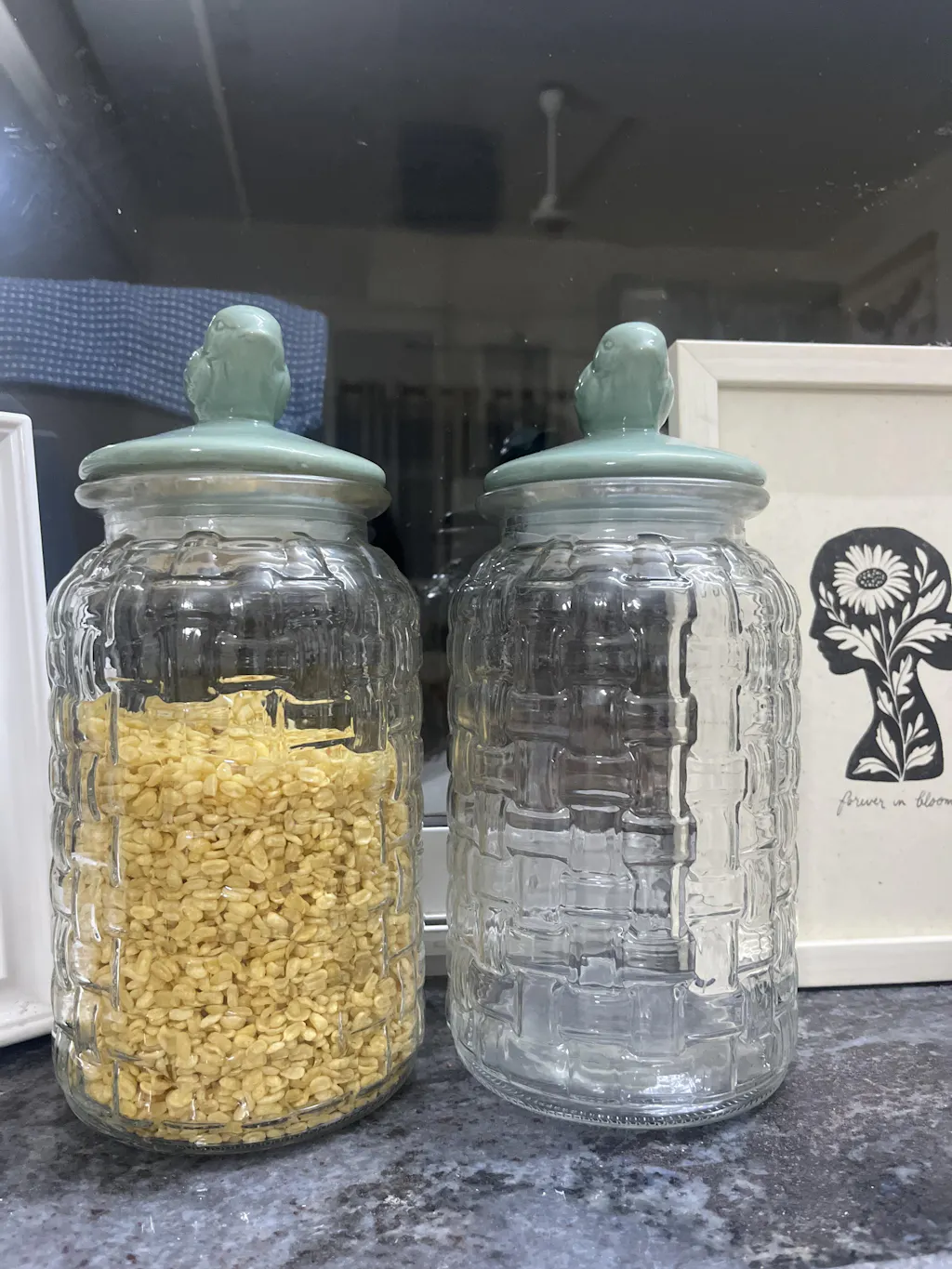 Set Of 2 Glass Jars With Green Bird Lid 1300ml Online - Premium Jar ...