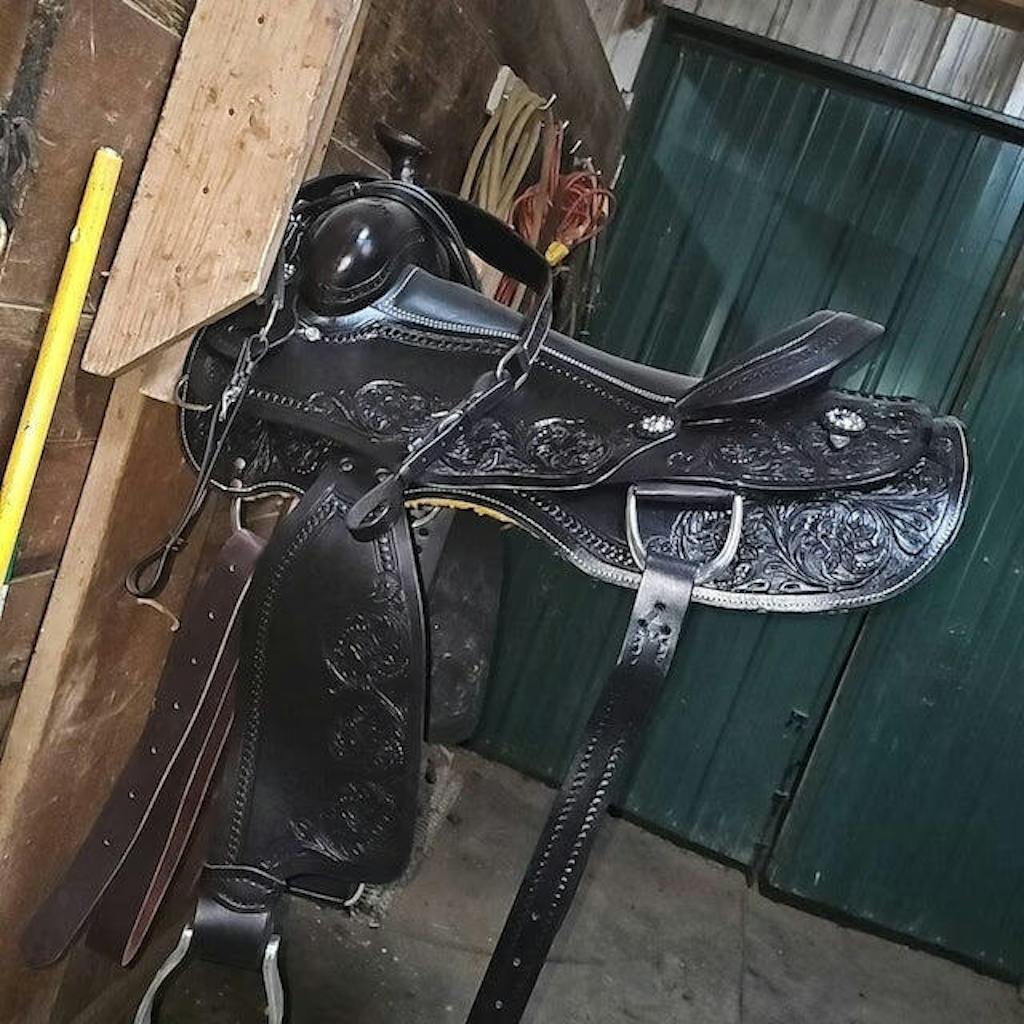 Western Horse Pleasure Saddle - Genuine Leather 16" – NewEngland Tack